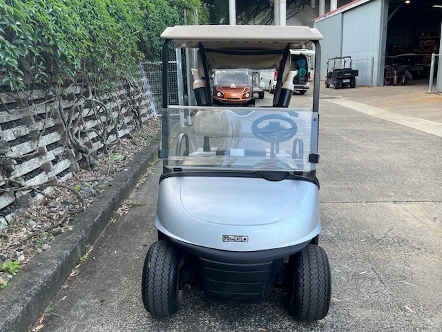 EZGO RXV GOLF CART Electric 2016